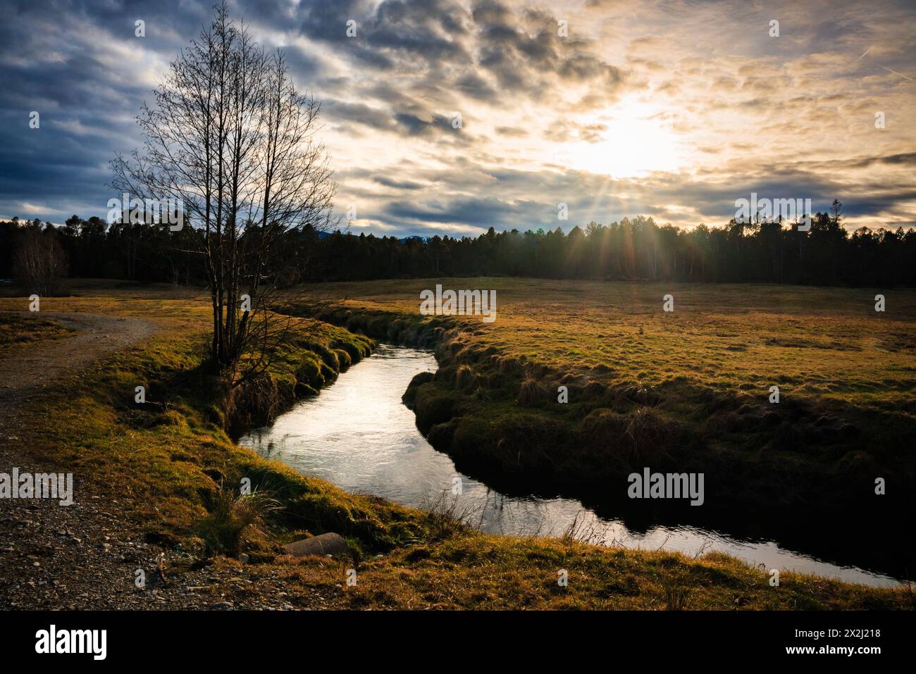 Landscape, water, creek, swamp, moor, stream, river, nature Stock Photo ...