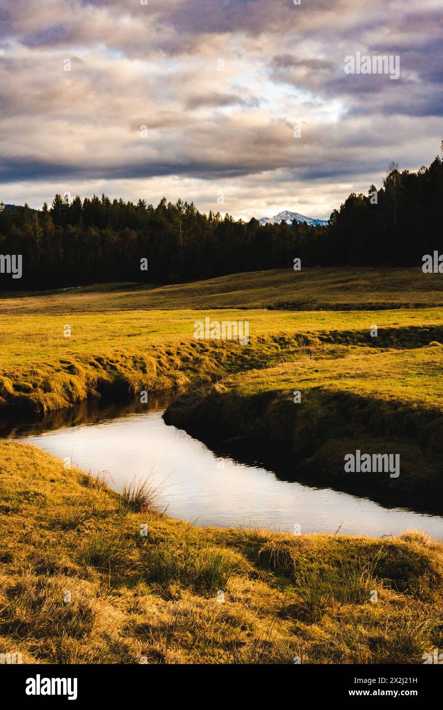 Landscape, water, creek, swamp, moor, stream, river, nature Stock Photo ...