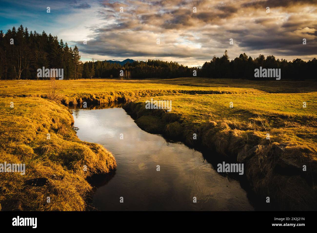 Landscape, water, creek, swamp, moor, stream, river, nature Stock Photo ...