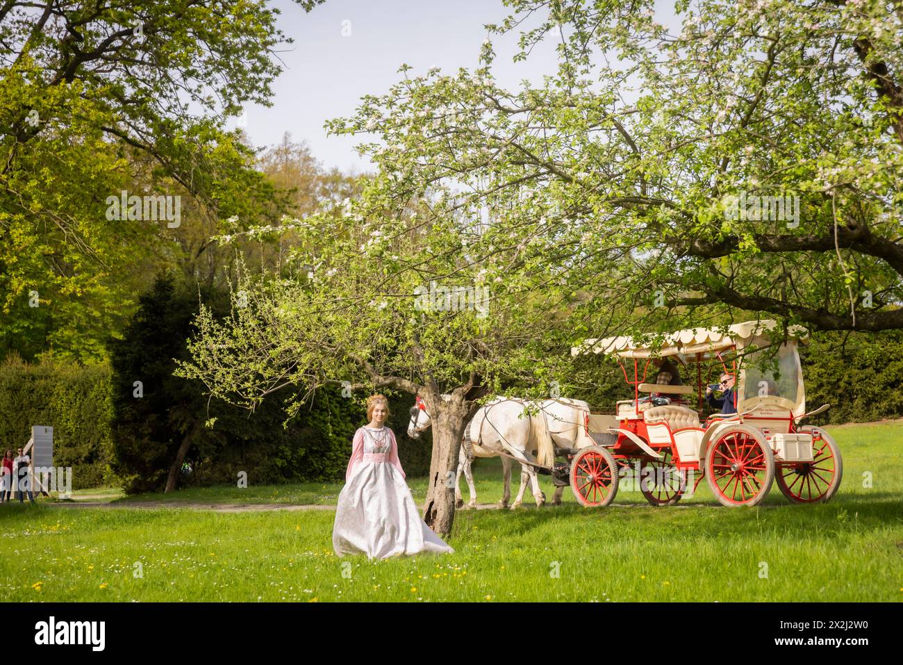 Cinderella can also be seen around Moritzburg Castle in spring. Model ...