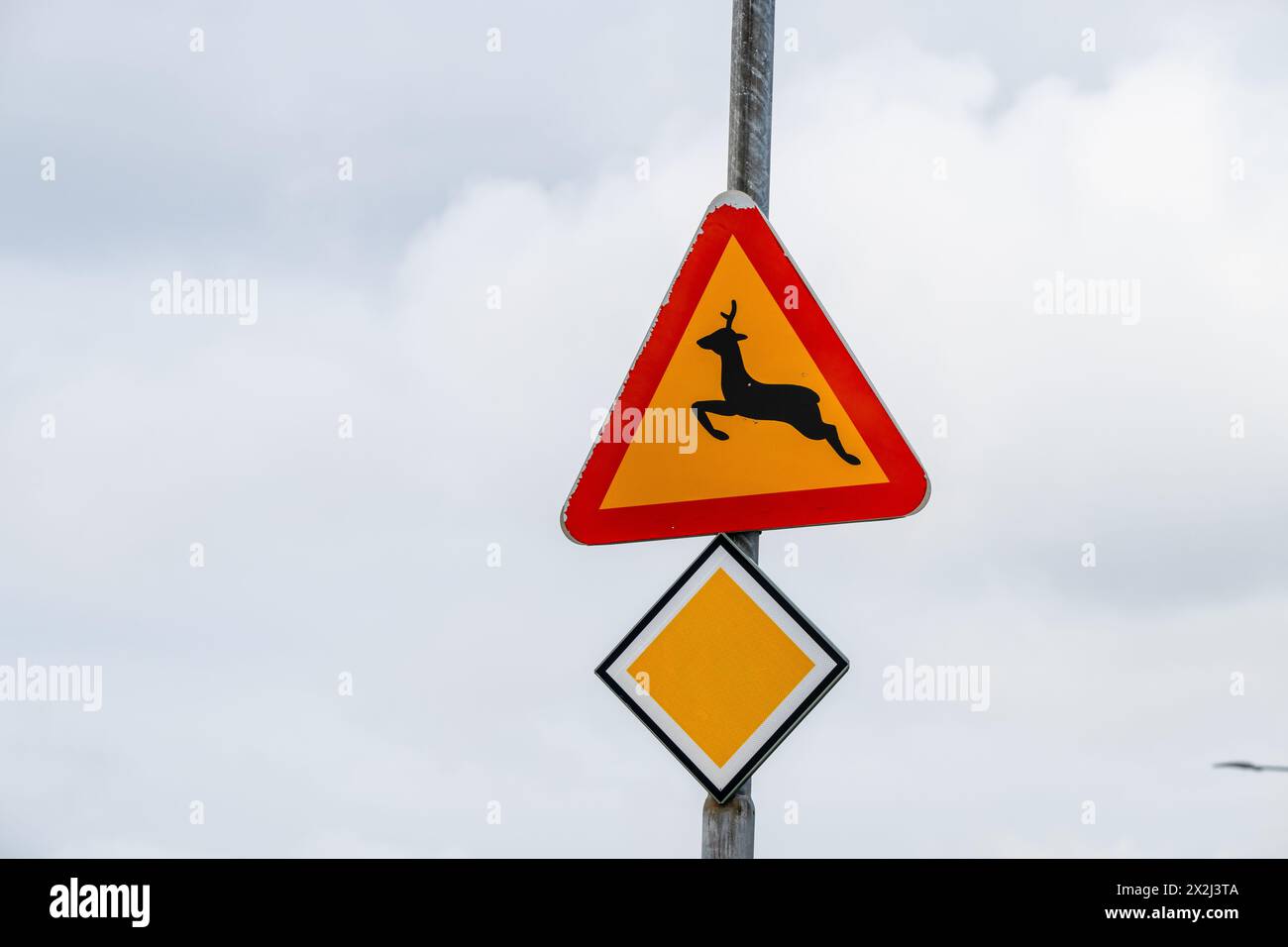 Deer crossing signs hi-res stock photography and images - Alamy