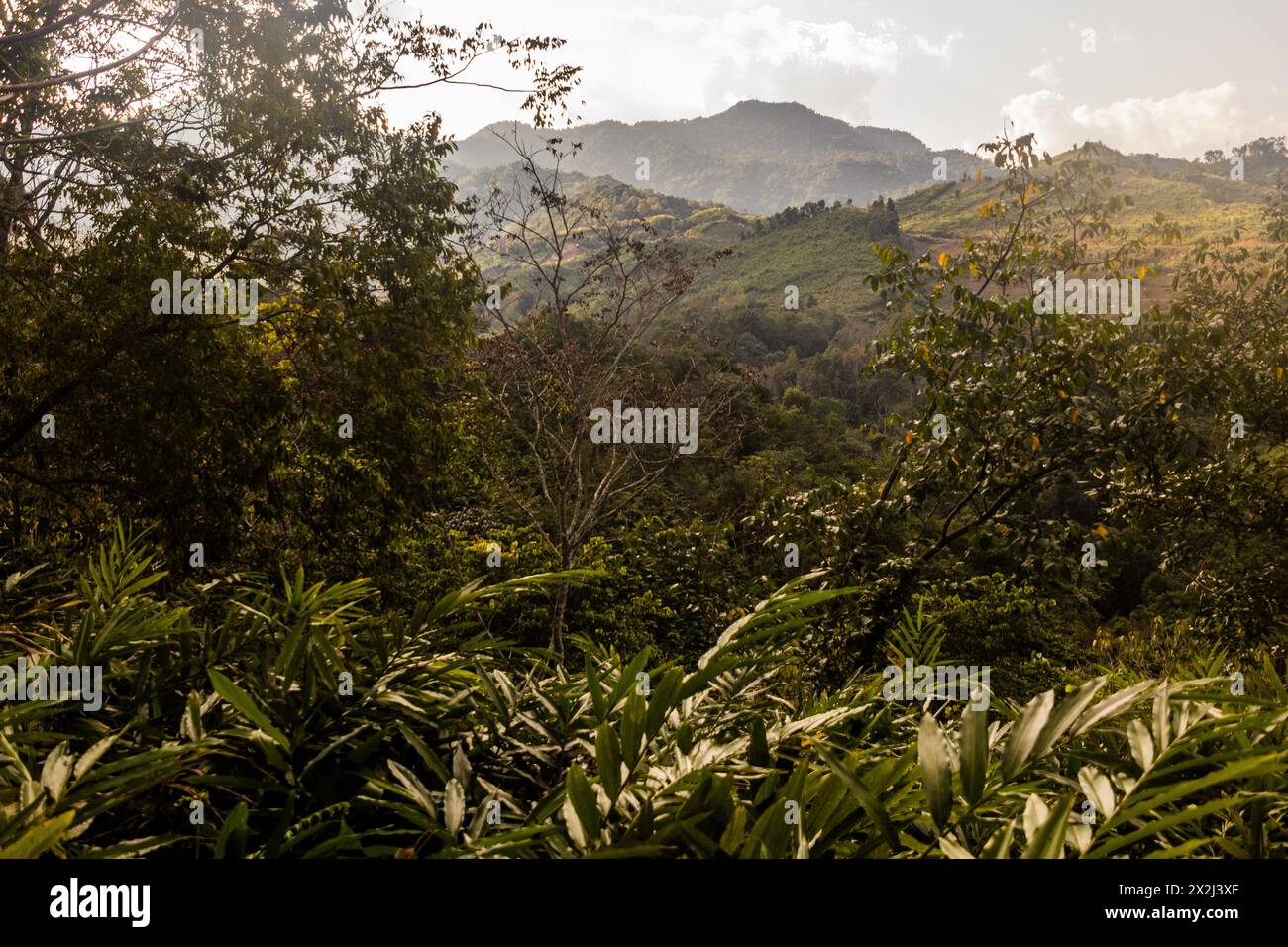 Landscape of Samarkisay village in Phongsali province, Laos Stock Photo ...