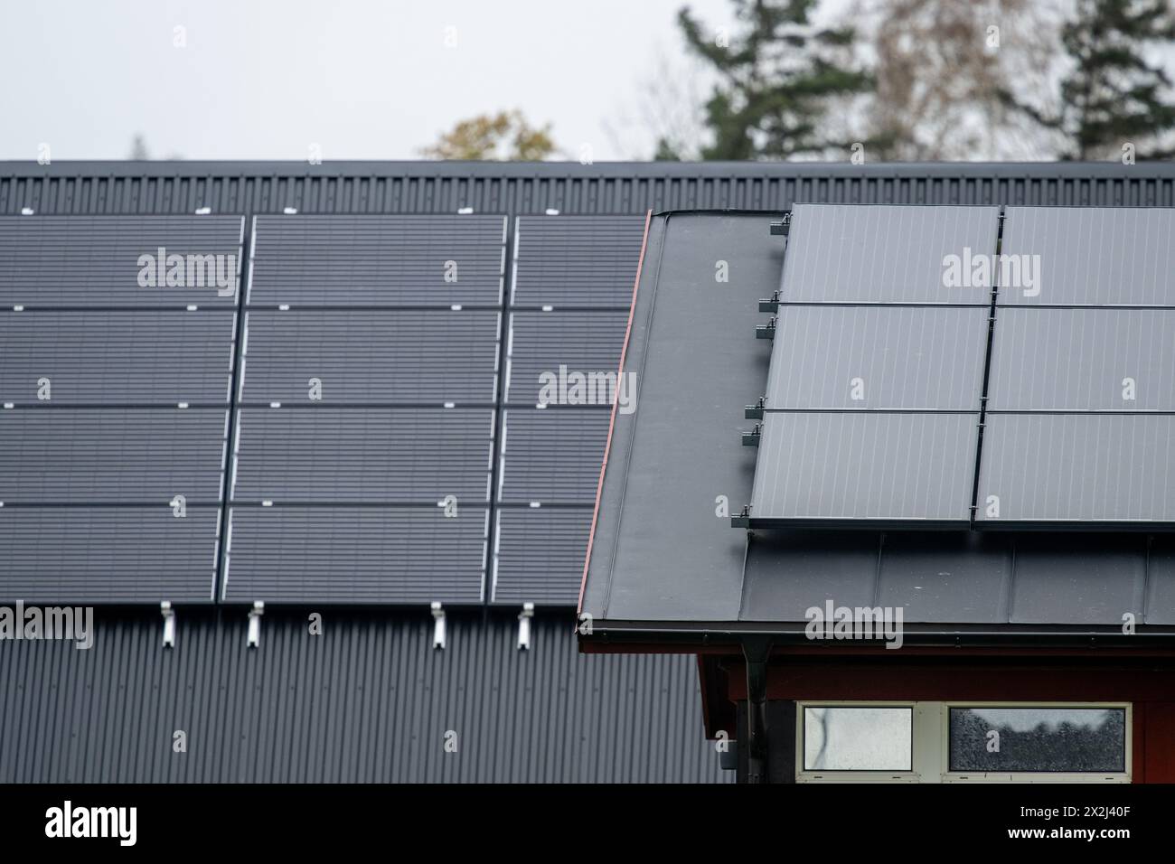 Two roofs with solar panels Stock Photo - Alamy