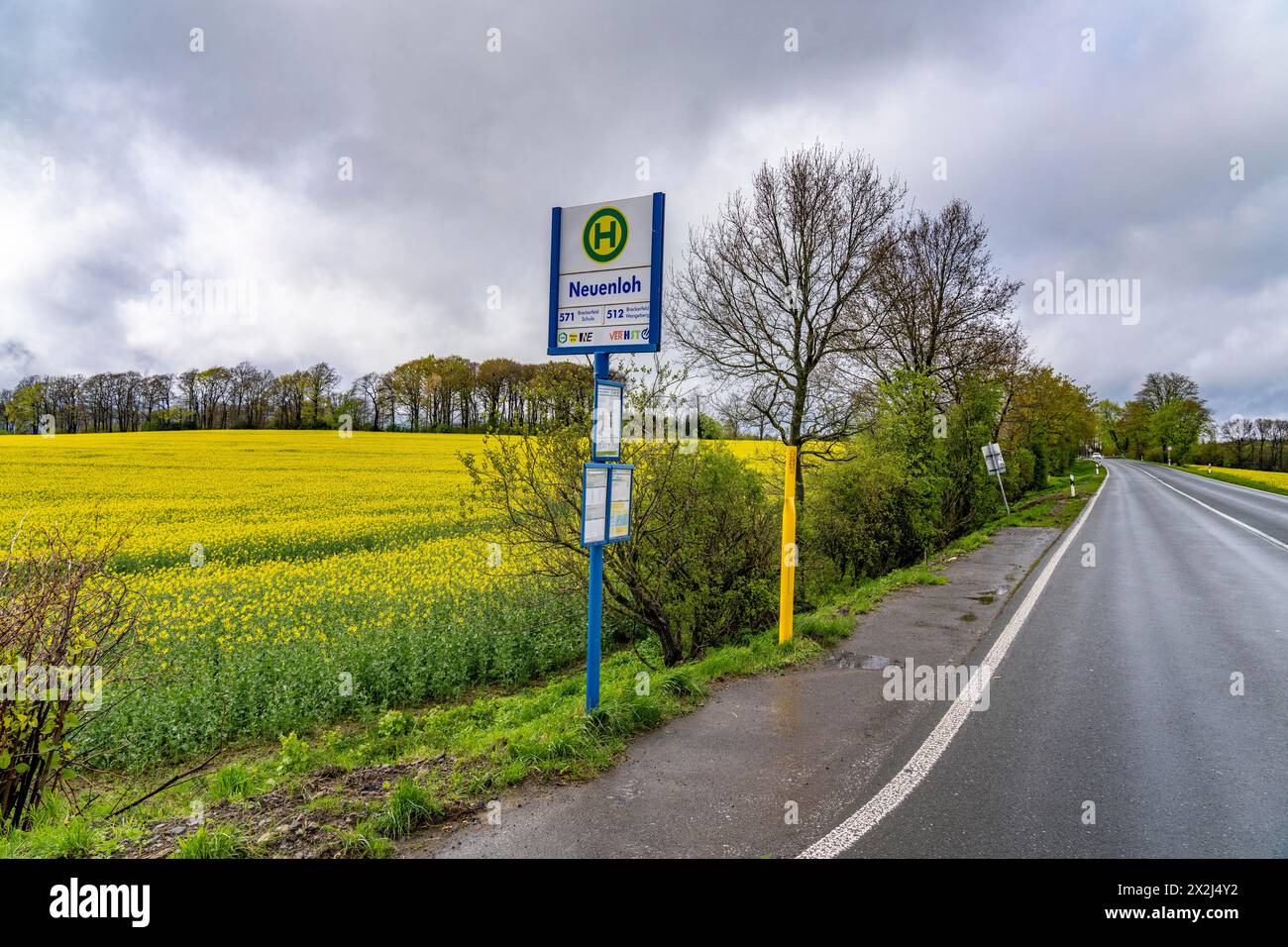 Bus stop, local transport in the countryside, near Breckerfeld ...