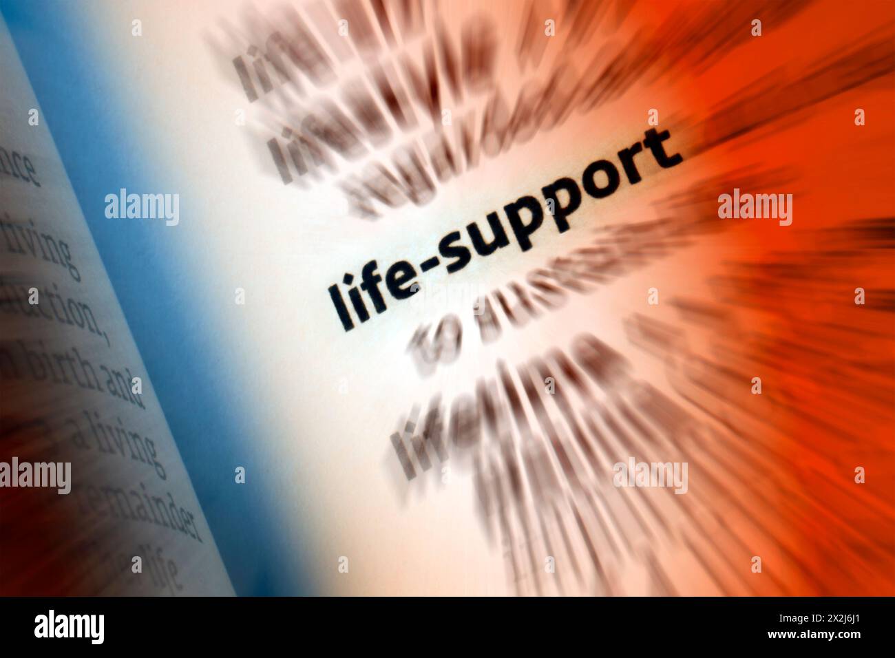 Life Support - maintenance of the vital functions of a critically ill ...