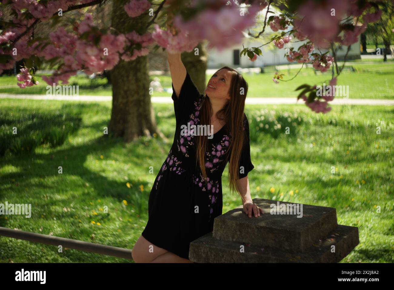 European woman smilingly admires the beauty of fully bloomed branches ...