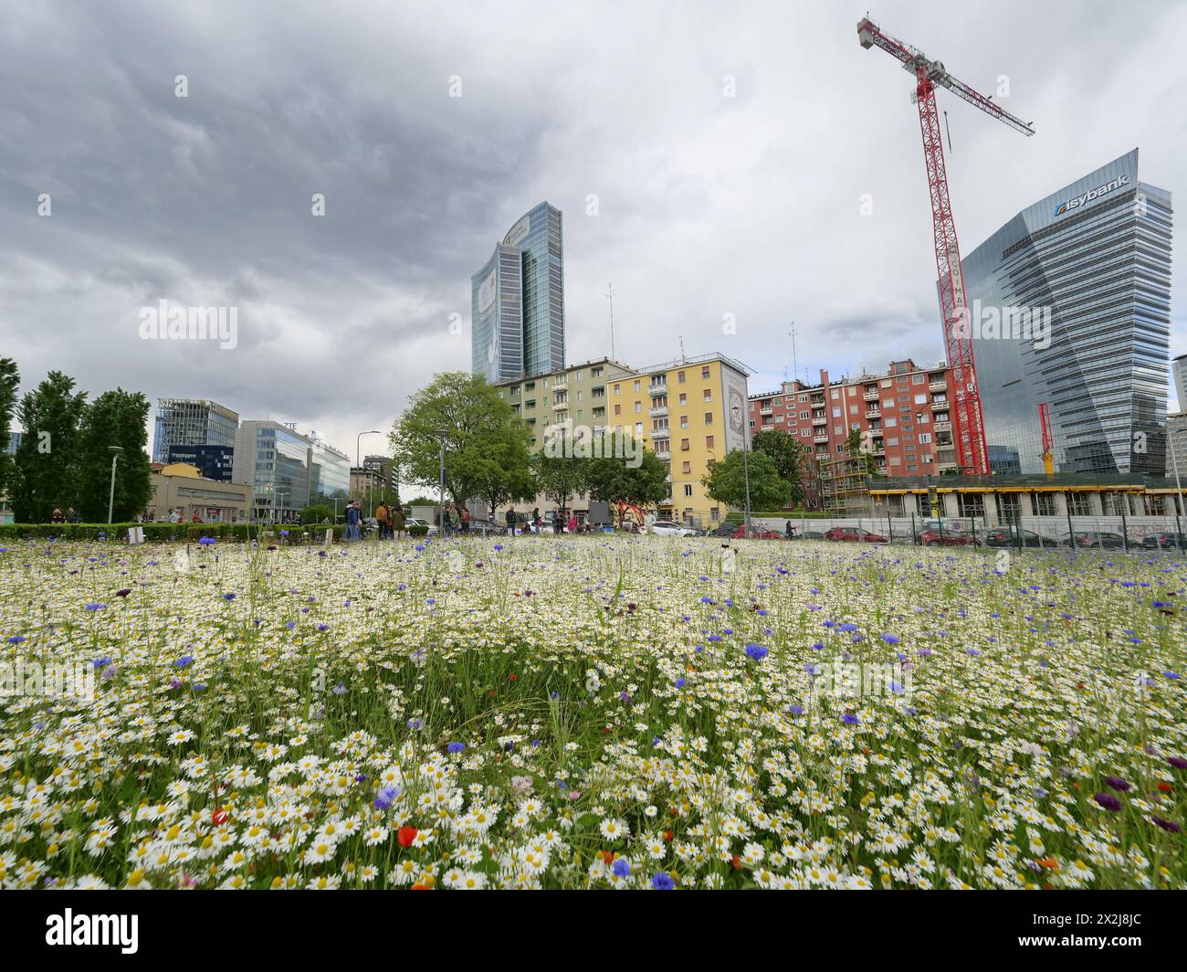 Milan, . 22nd Apr, 2024. Beautiful spring blooms at Bam, the most ...