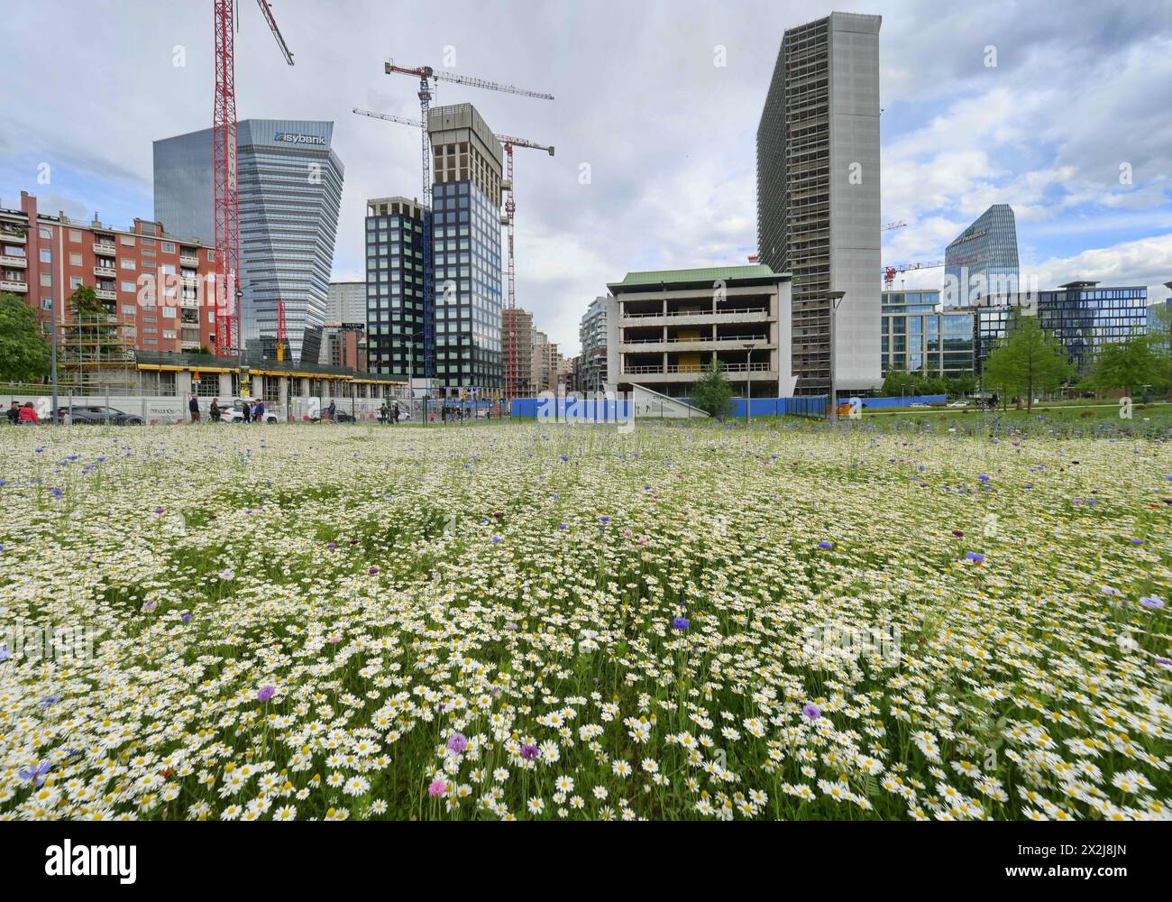 Milan, . 22nd Apr, 2024. Beautiful spring blooms at Bam, the most ...