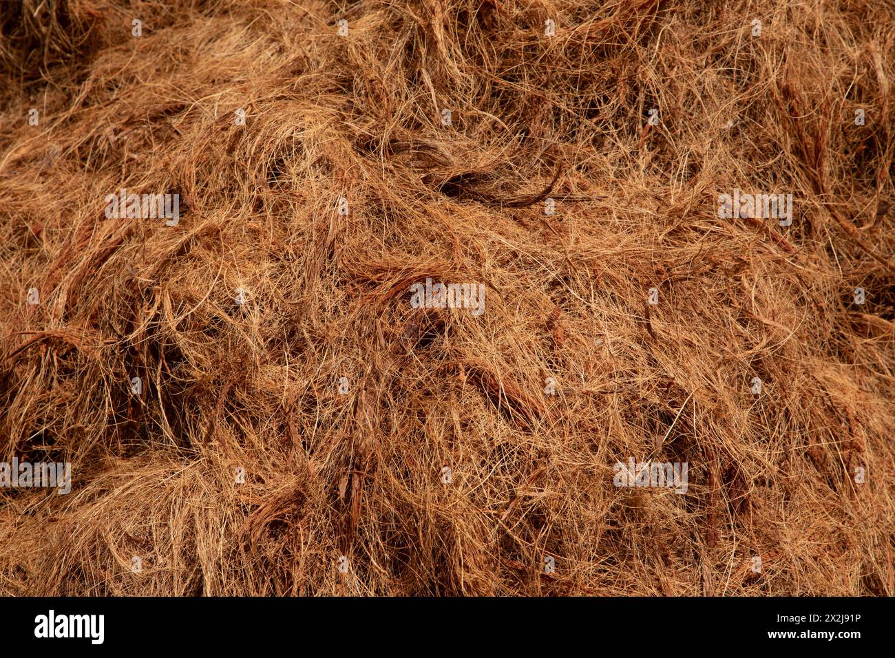 Three stages of coconut coir rope making with traditional process ...