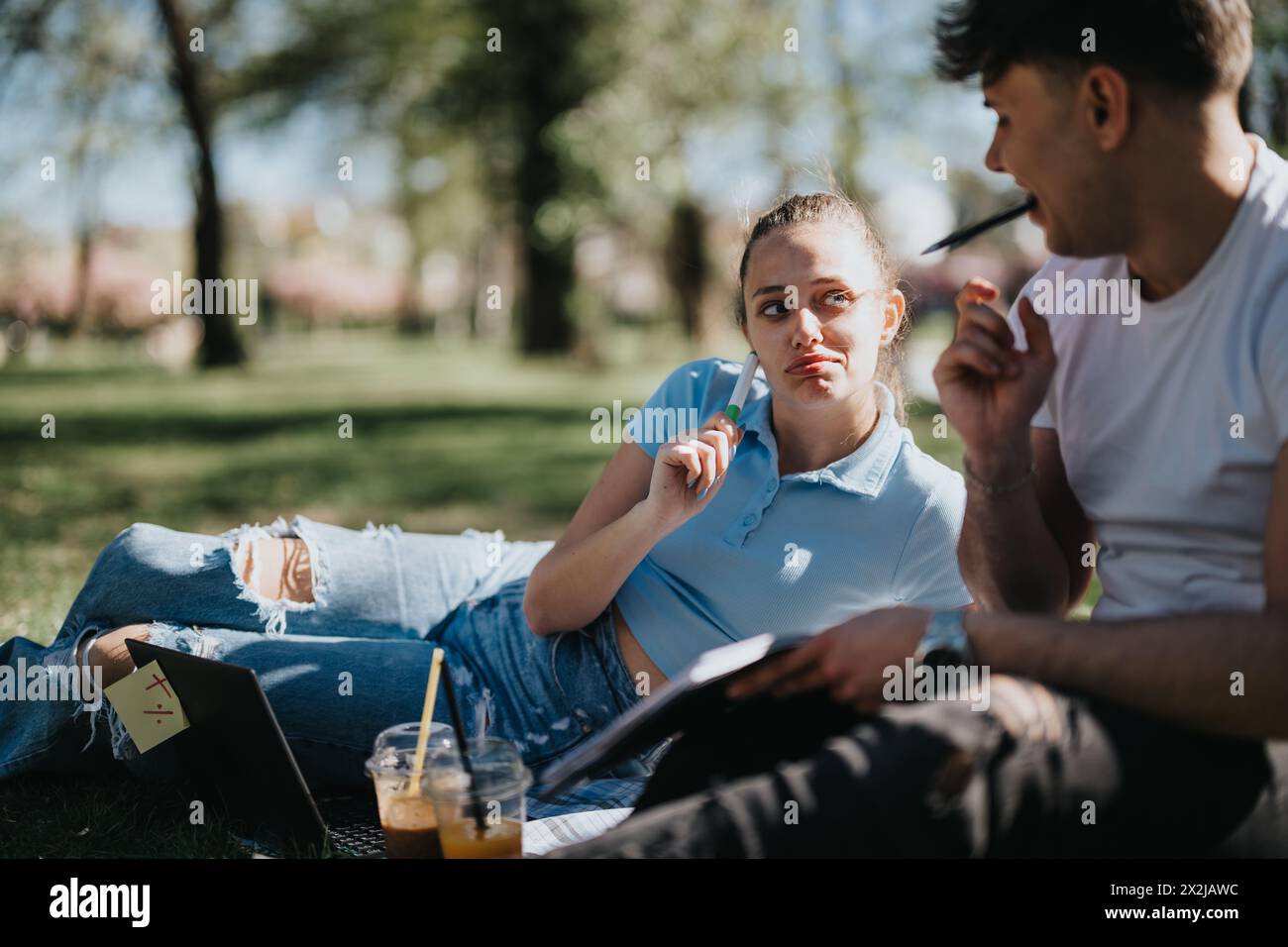 High school friends studying together in a city park, engaged in ...