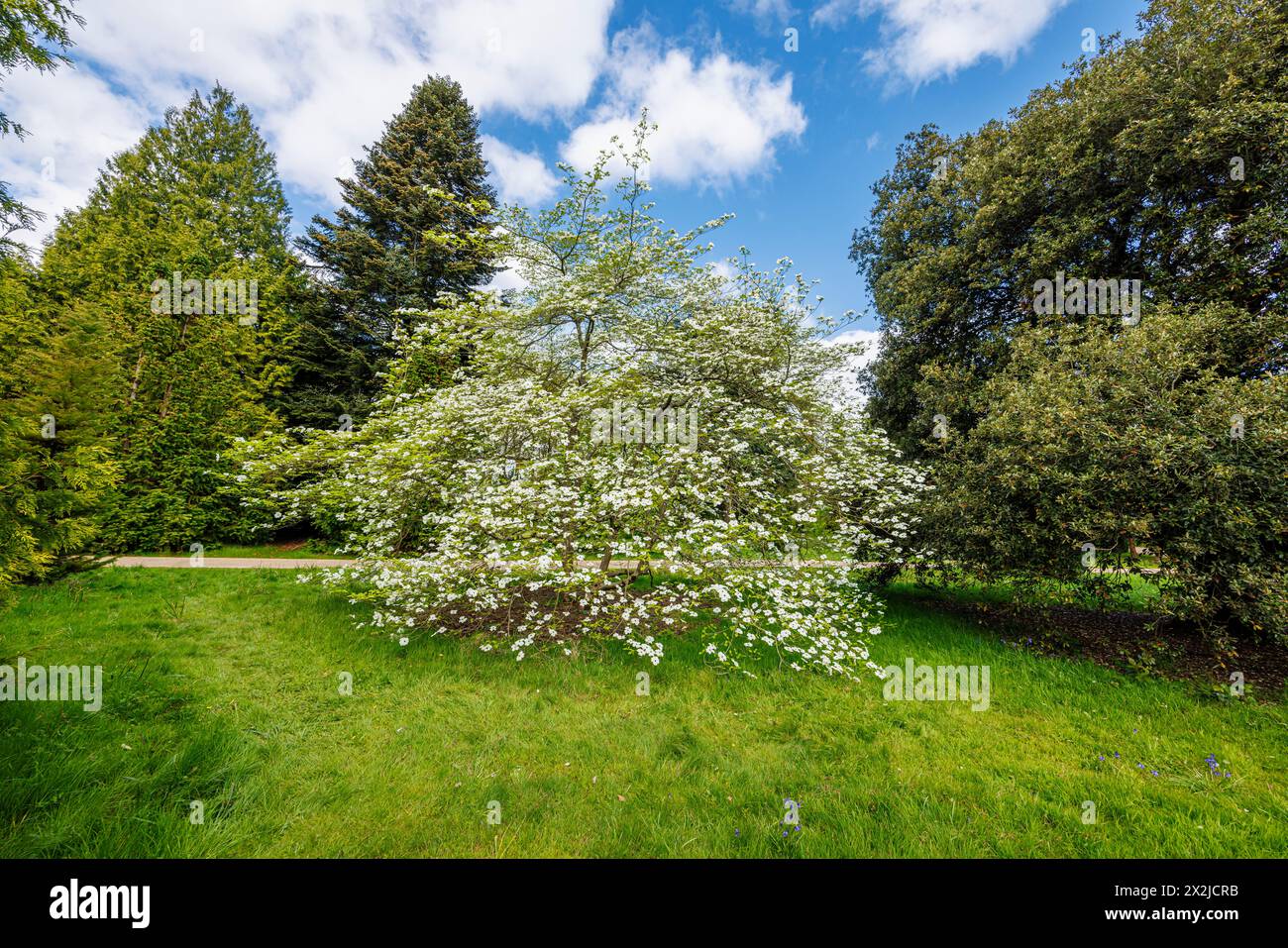 Ormonde hi-res stock photography and images - Alamy