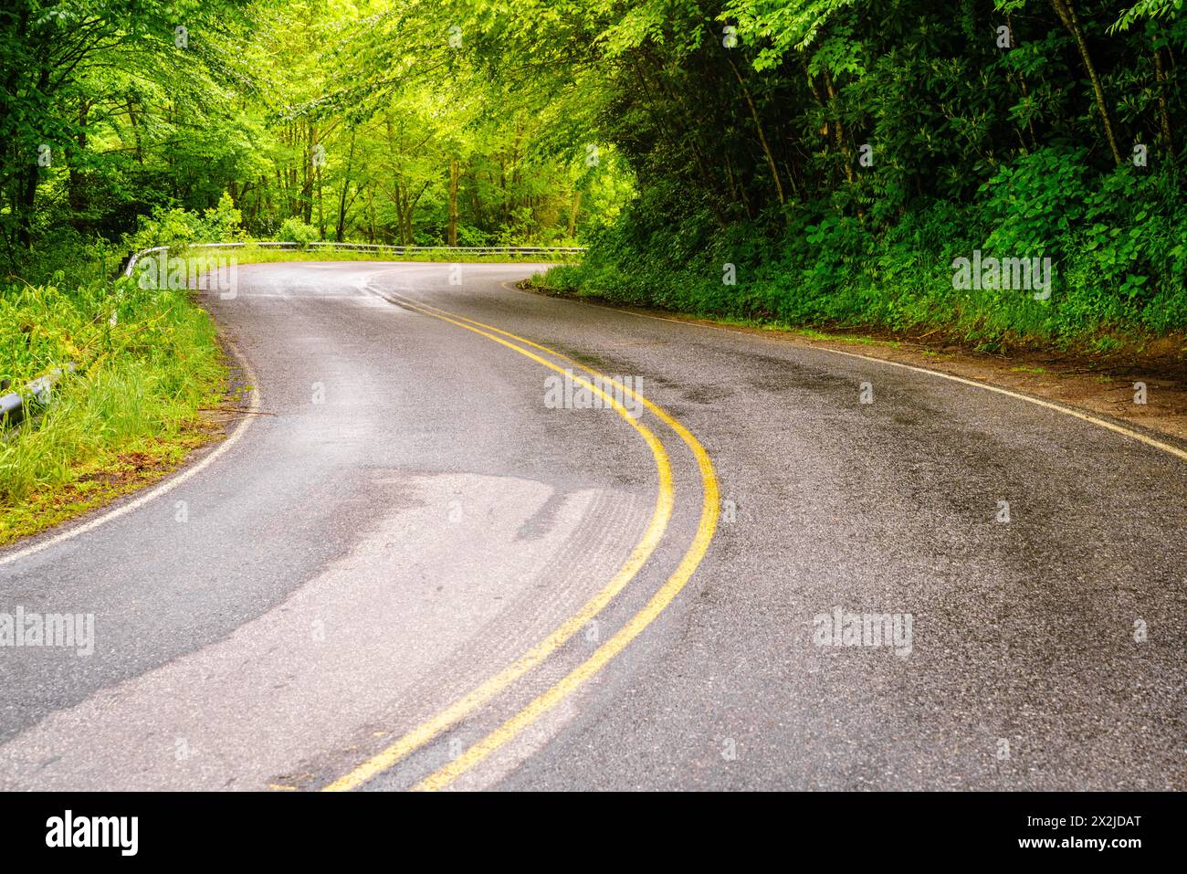 Winding highway through Pisgah National Forest in North Carolina Stock ...