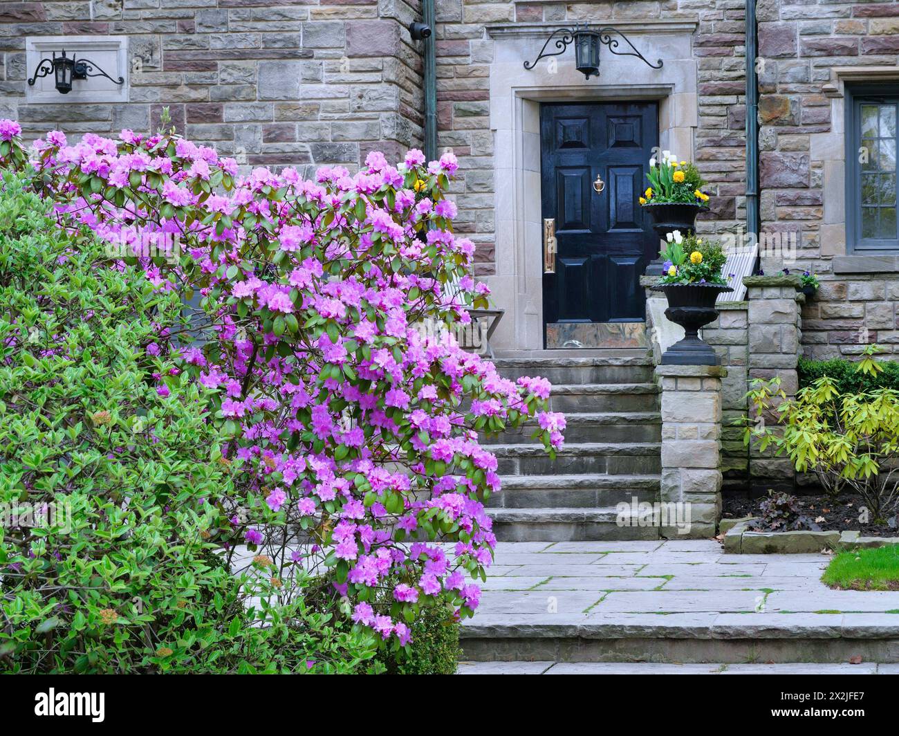 Old spring hi-res stock photography and images - Alamy