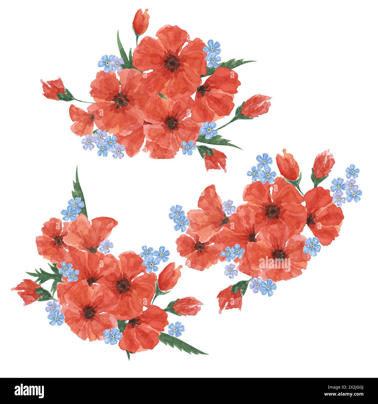 Red poppies and forget-me-nots bouquets. Poppy day flower compositions ...