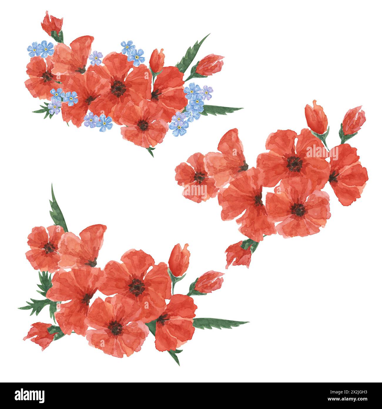 Red poppies and forget-me-nots bouquets. Poppy day flower compositions ...
