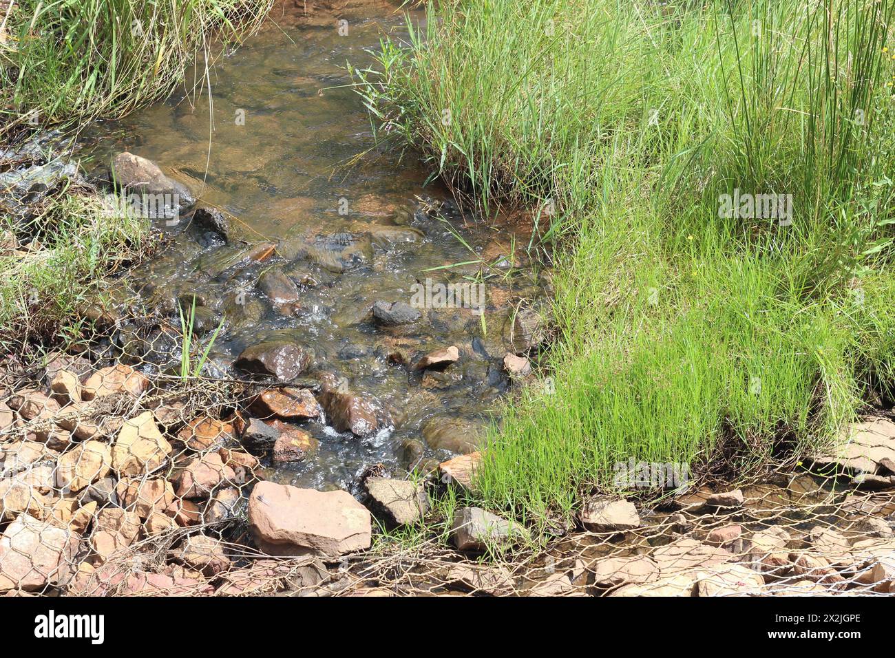 A stream flowing through short green grass with rocks held back by wire ...
