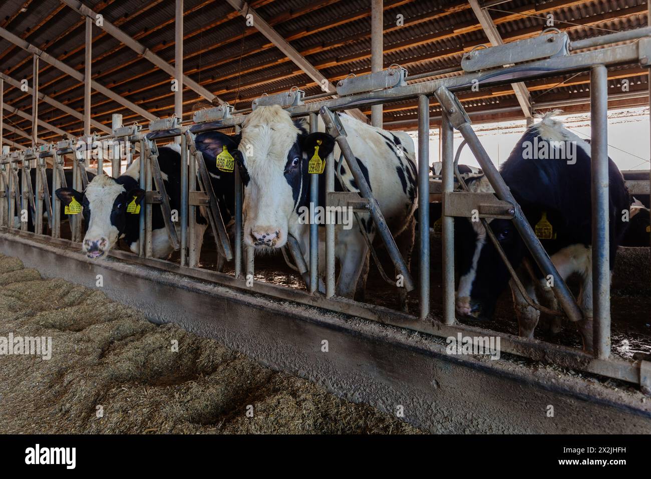 Modern stall hi-res stock photography and images - Alamy