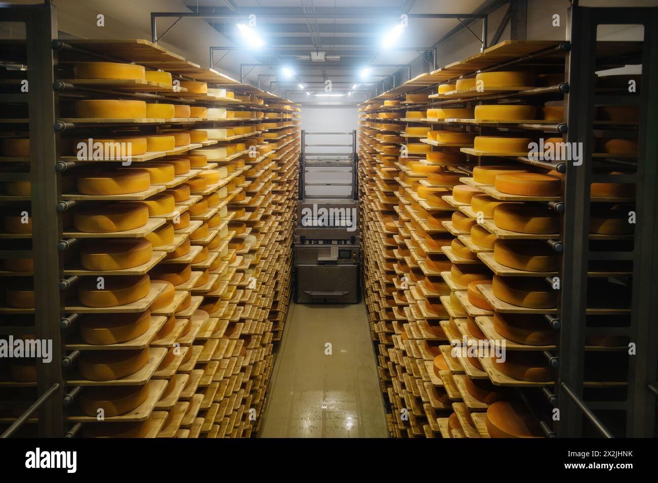 Loading machine working at cheese warehouse Stock Photo - Alamy