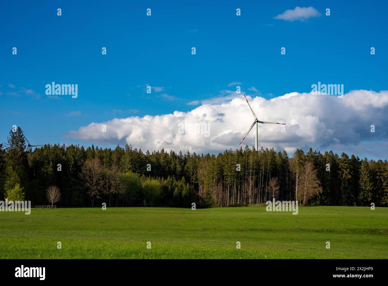 Wind turbine in the forest, renewable energy Stock Photo - Alamy