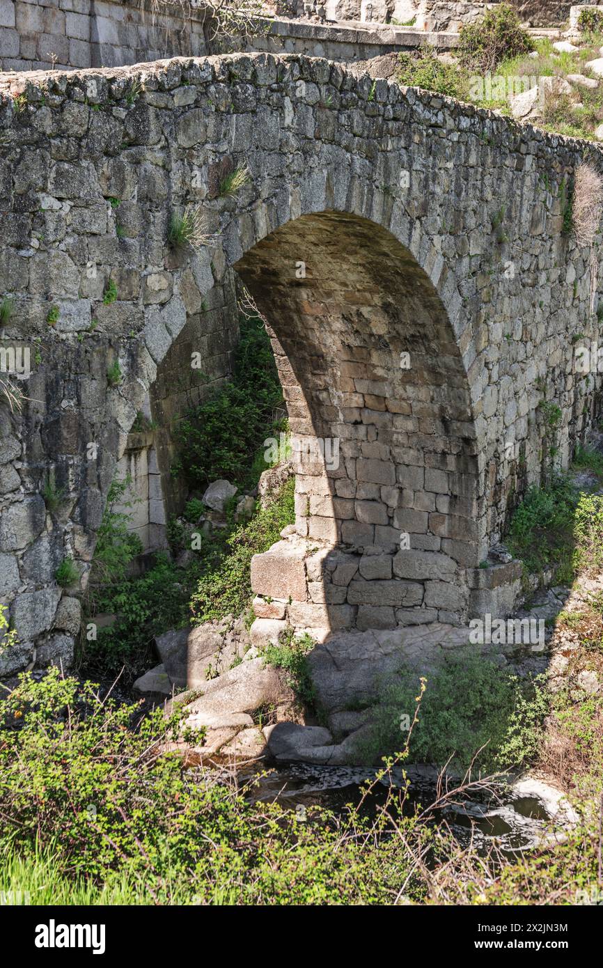 Bridges have their origin in the same prehistory. Possibly the first ...