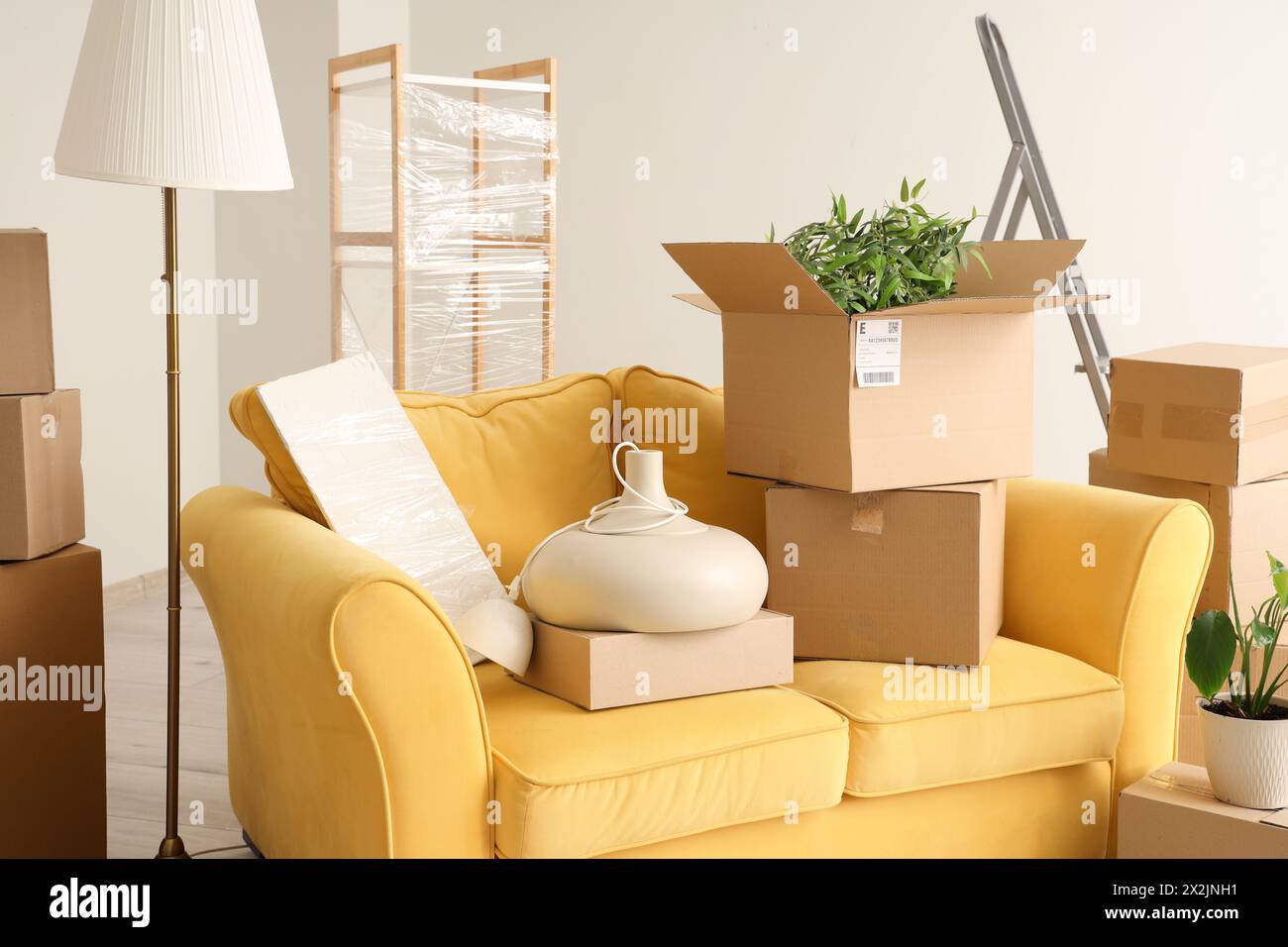 Cardboard boxes and sofa in living room prepared for house moving ...