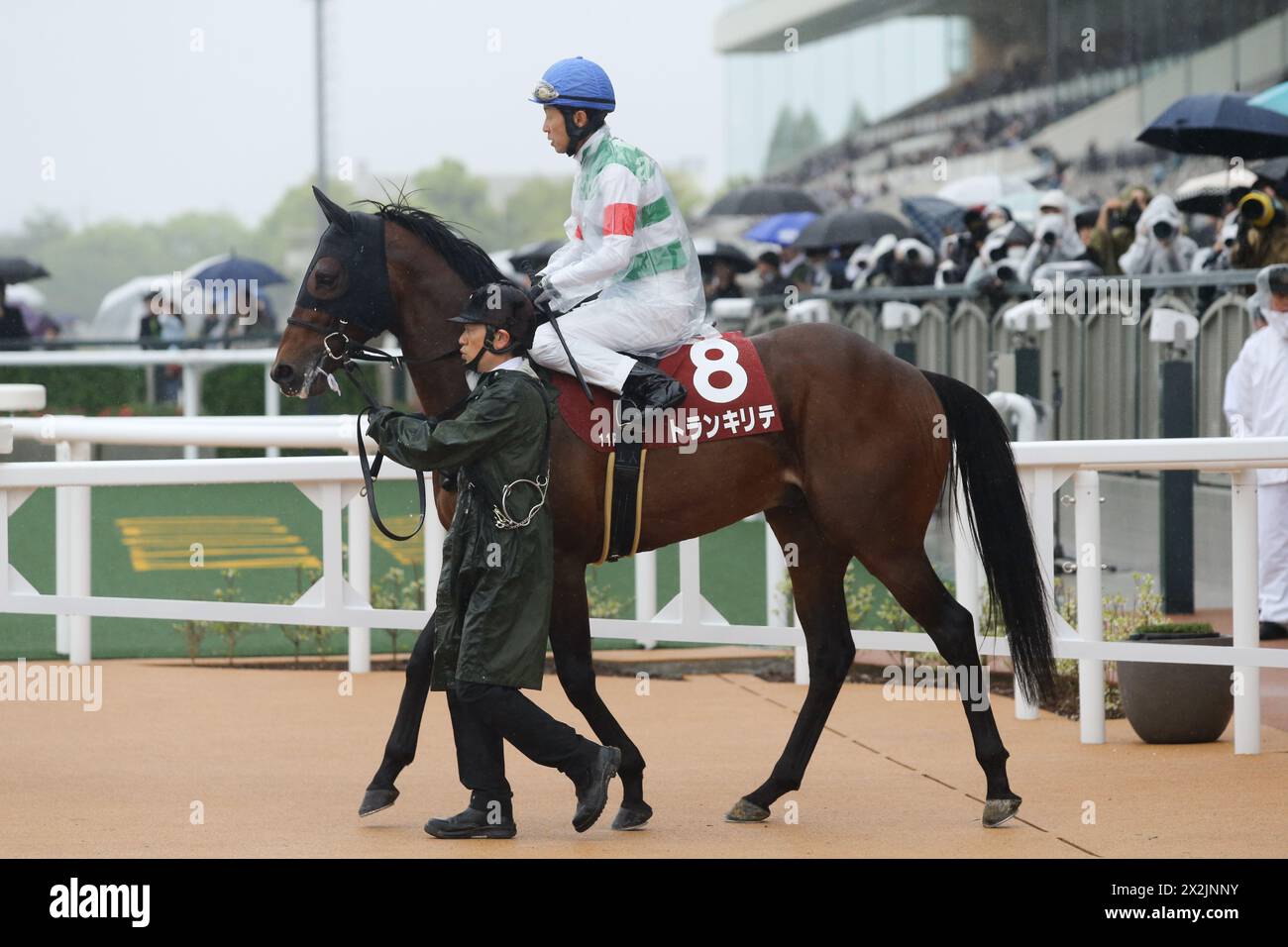 2024/04/21 KYOTO 11R THE YOMIURI MILERS CUP Tranquillite / Yutaka Take ...