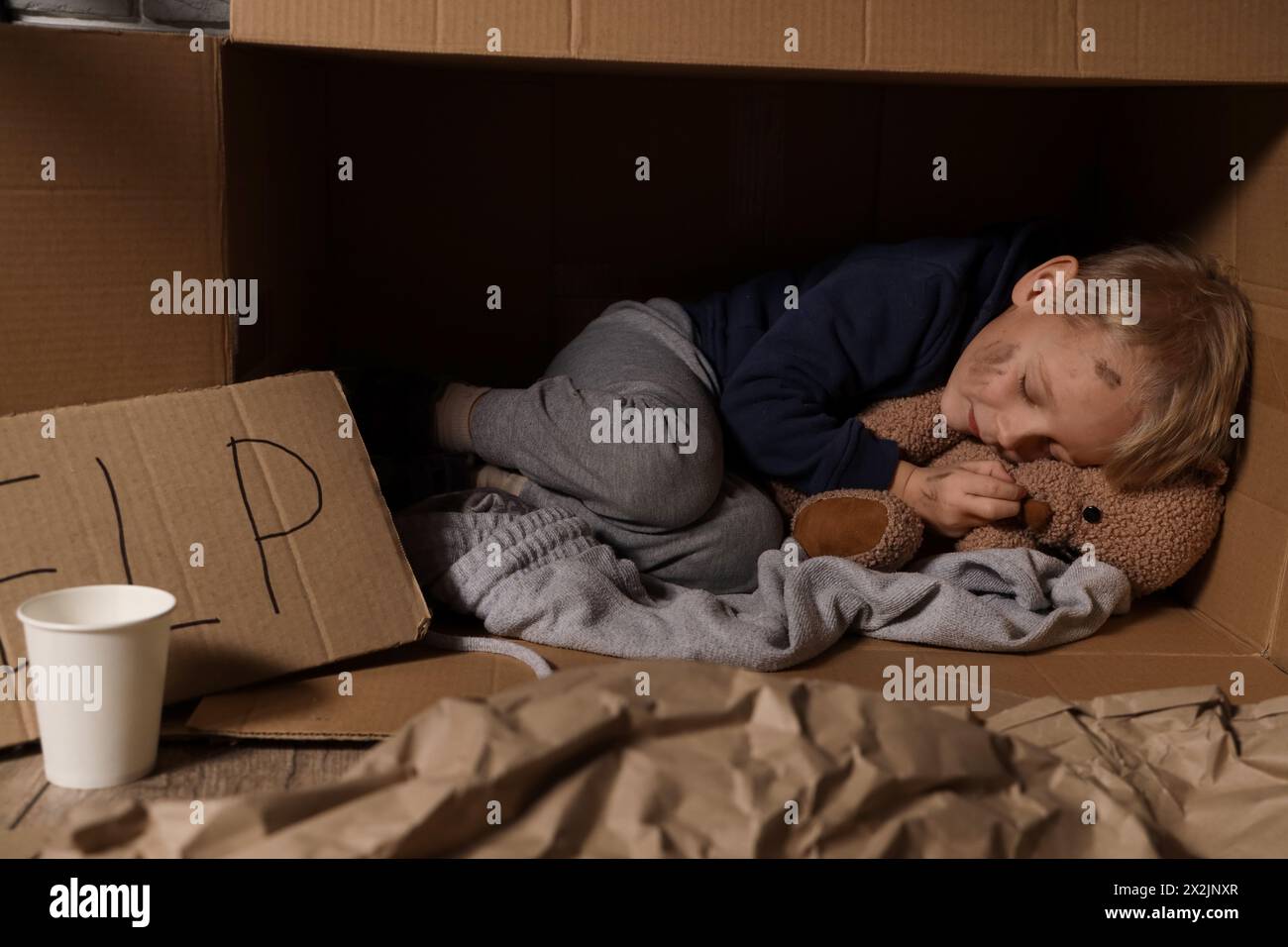Homeless little boy with toy bear sleeping in cardboard box Stock Photo ...