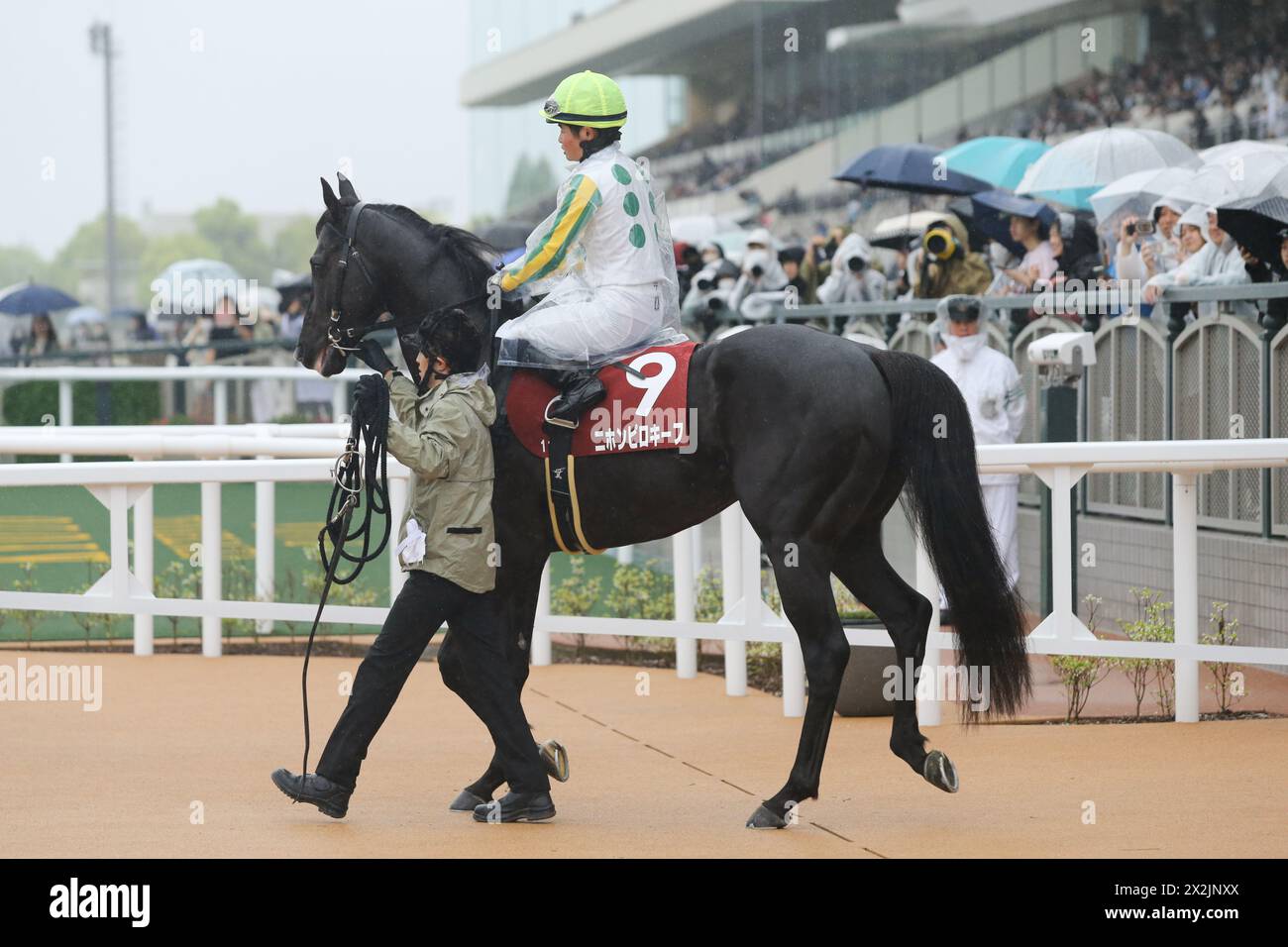 2024/04/21 KYOTO 11R THE YOMIURI MILERS CUP Nihonpiro Kyiv / Kanta ...