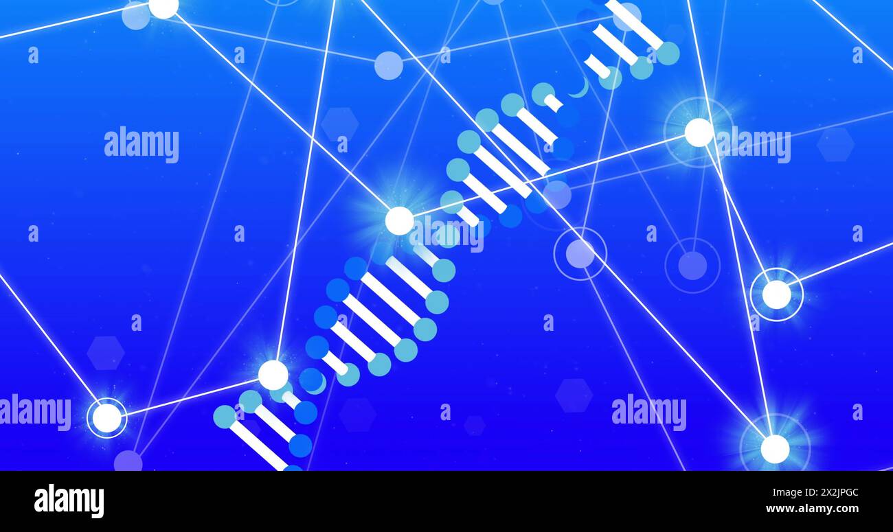 Image of dna strand and networks of connections Stock Photo - Alamy