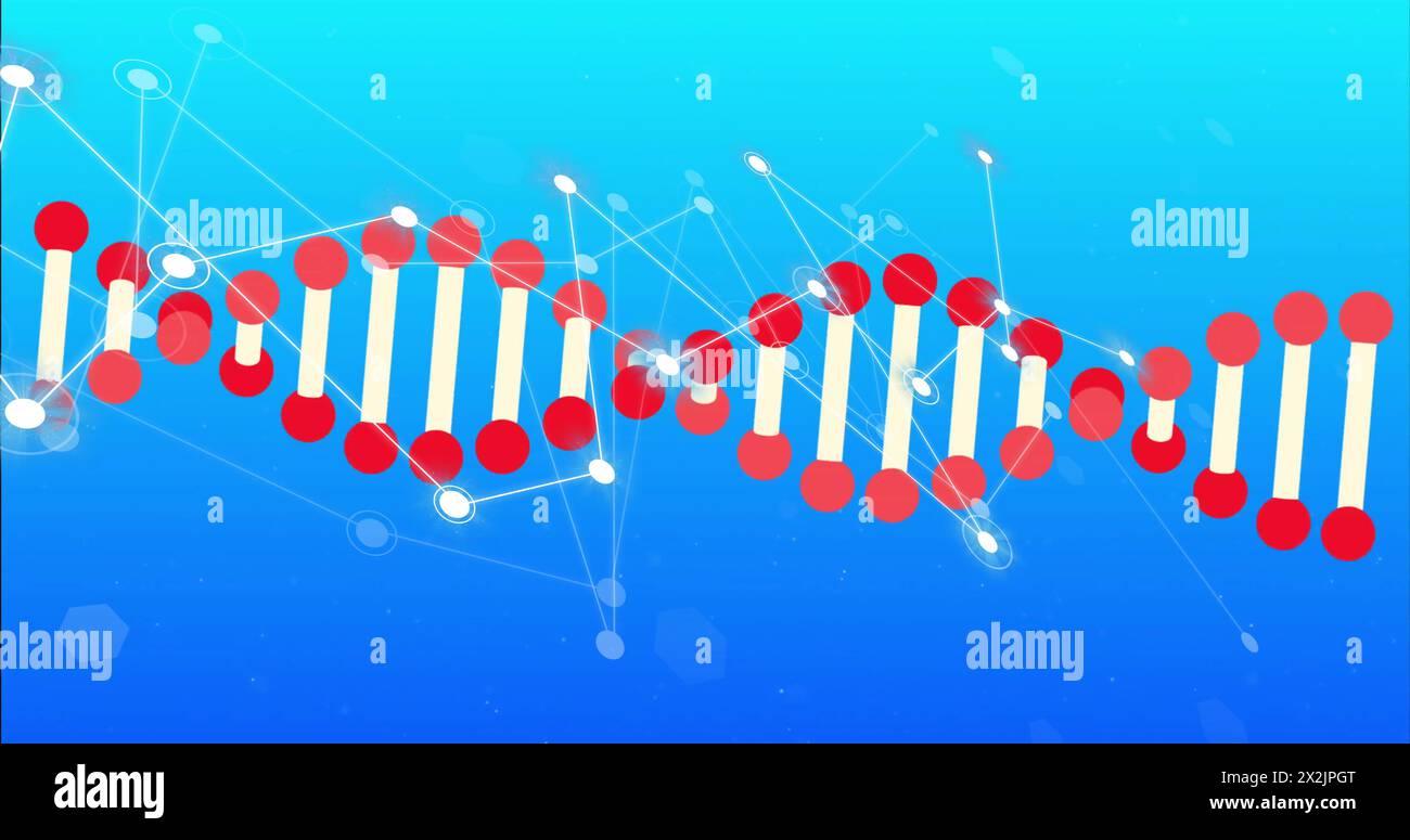 Image of dna strand and networks of connections Stock Photo - Alamy