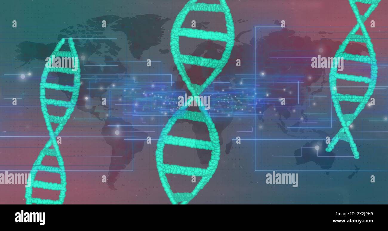 World map of chromosome hi-res stock photography and images - Alamy