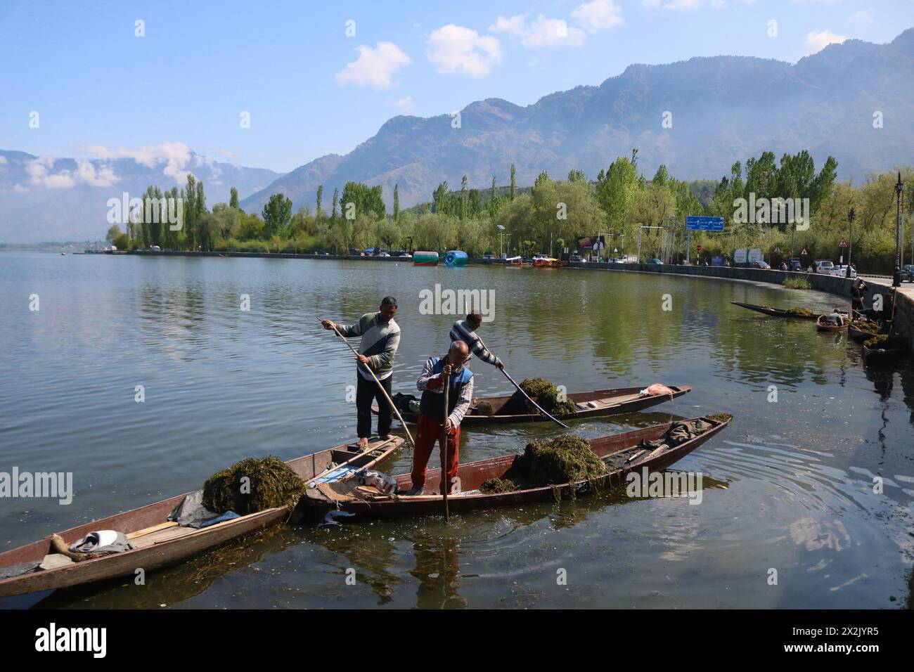 Srinagar, India. 22nd Apr, 2024. Labourers from the Jammu and Kashmir Lakes and Waterways ...