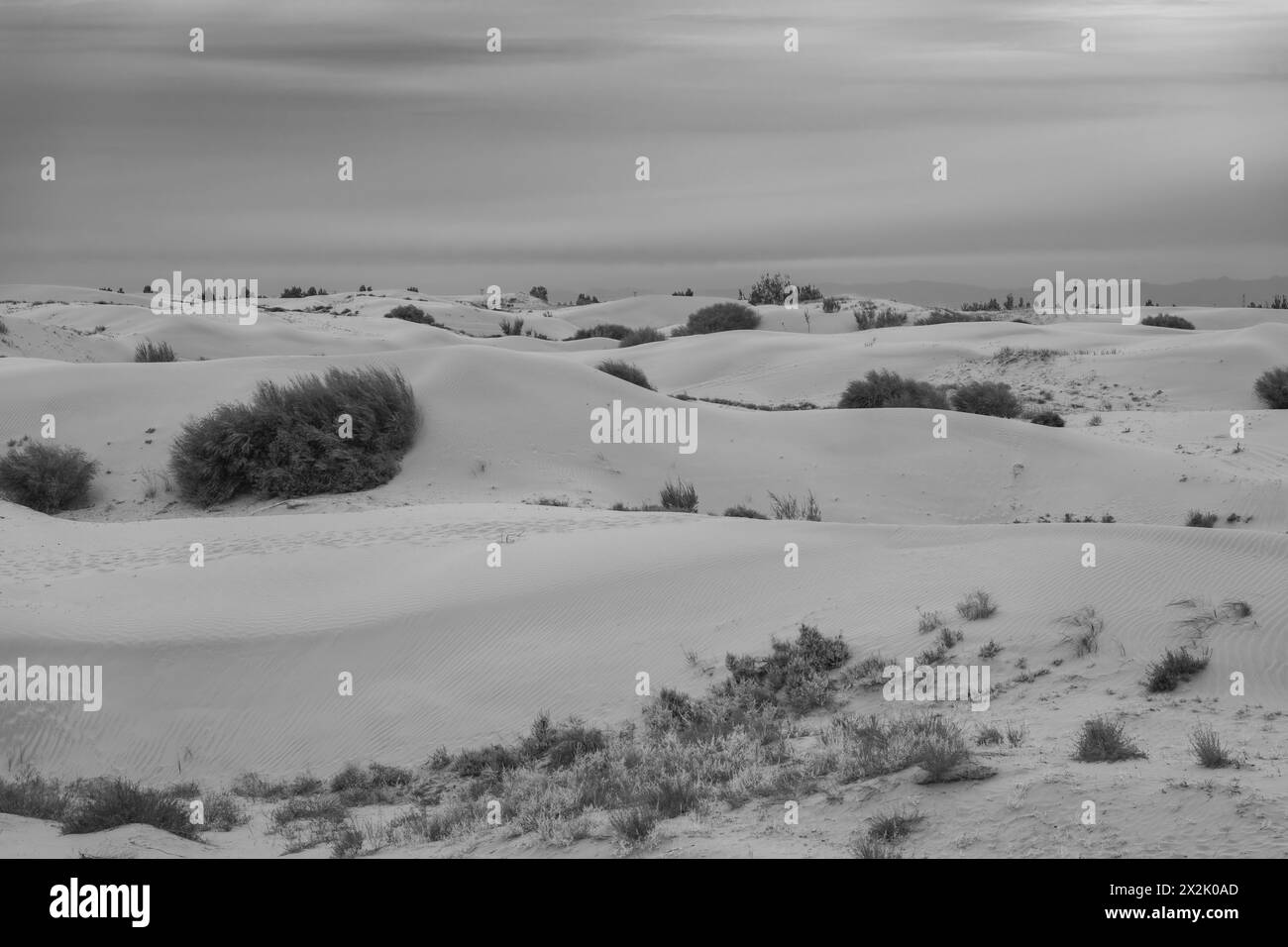 Tengger desert scenery, Inner Mongolia, China. The windy weather with ...