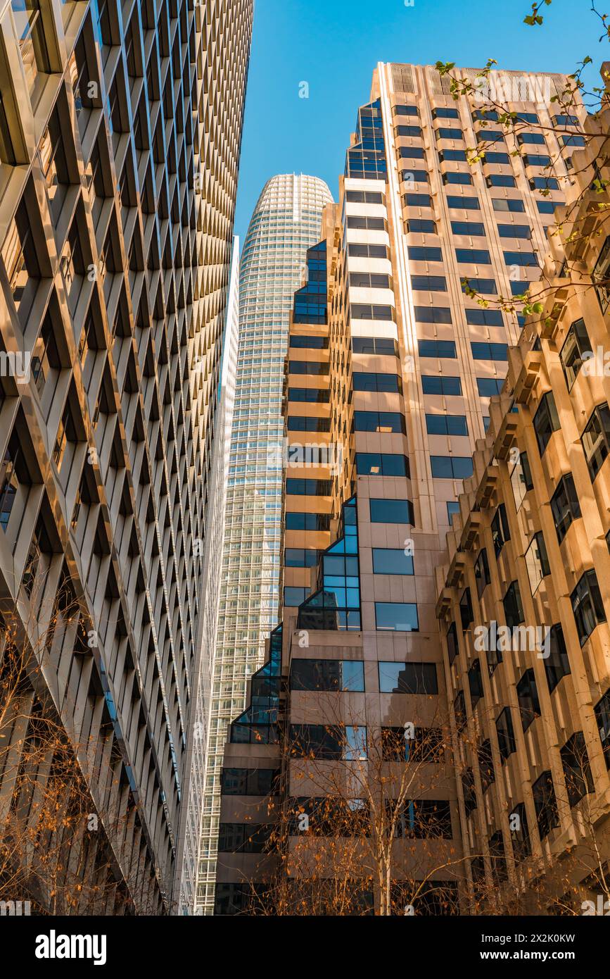 Architectural diversity towers above, creating a unique urban ...