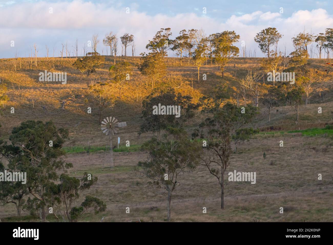 Outback Australian landscape in Queensland at sunset with native trees ...