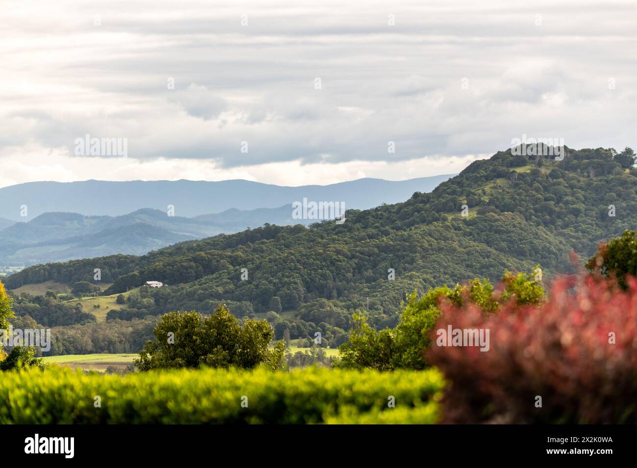 Mount Warning seen in the distance of the Byron Bay hinterland during ...