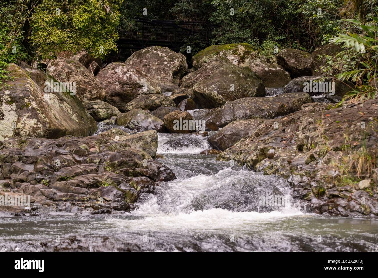 Stunning rainforest with dense, lush landscape surrounding the ...