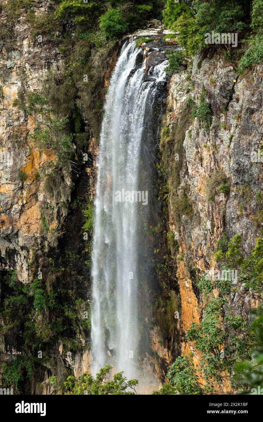 Stunning rainforest with dense, lush landscape surrounding the ...