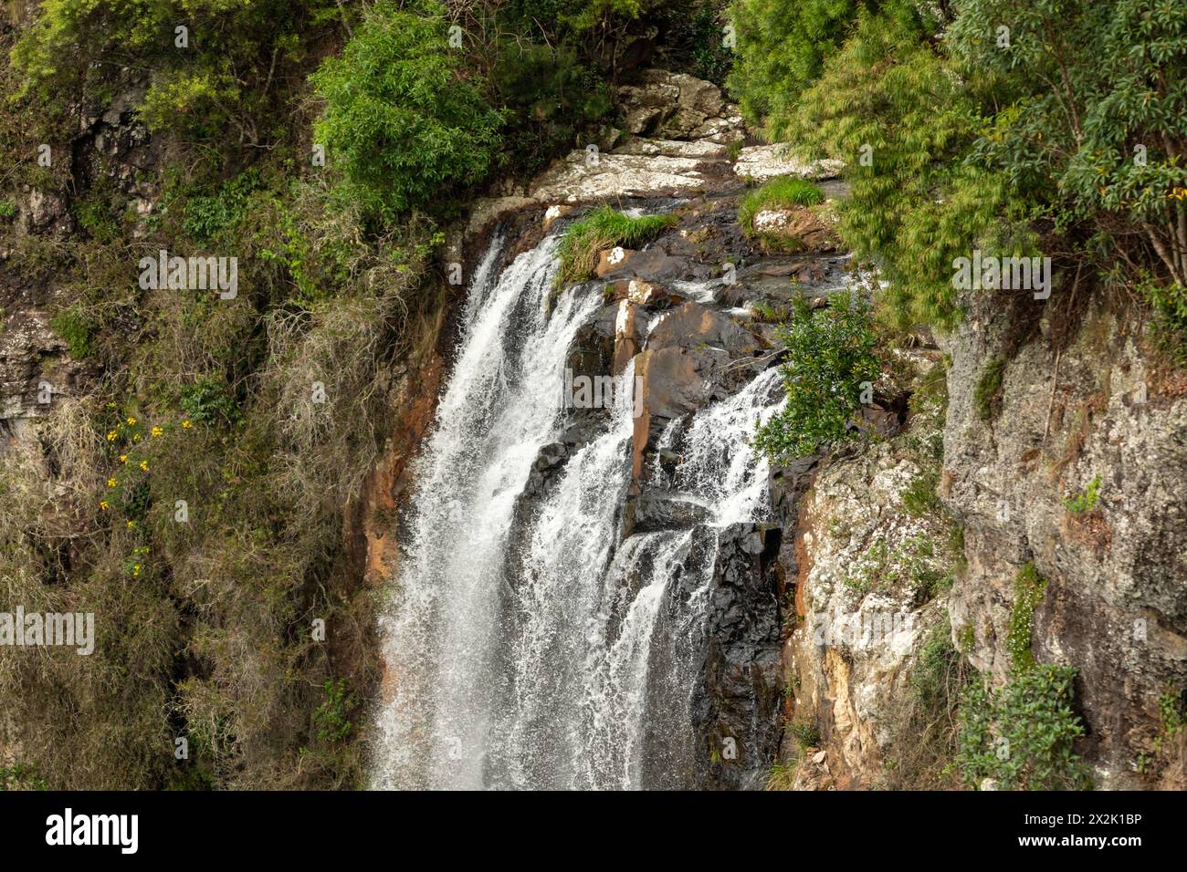 Stunning rainforest with dense, lush landscape surrounding the ...