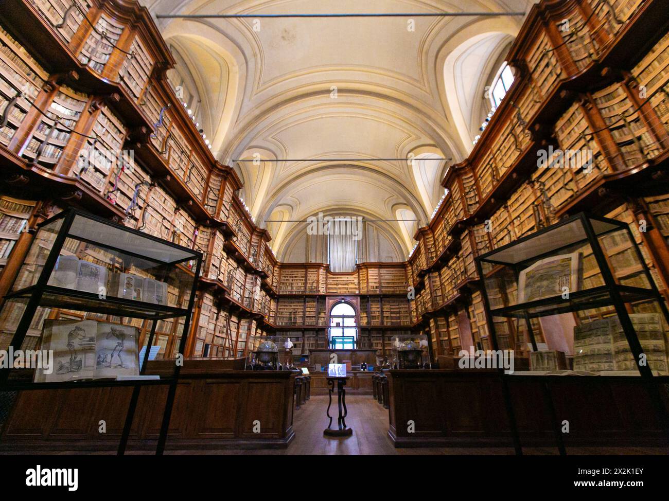 Angelica library rome hi-res stock photography and images - Alamy