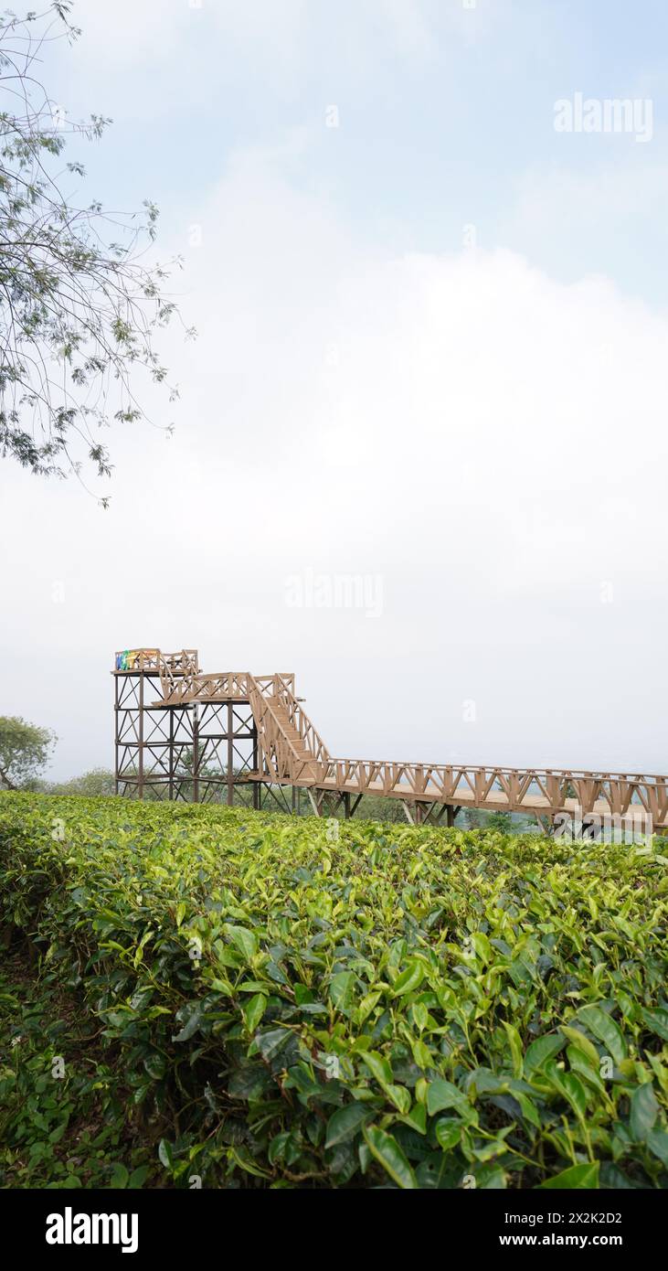 The bridge on the Bukit Kuneer which is made of wood and a photo spot ...