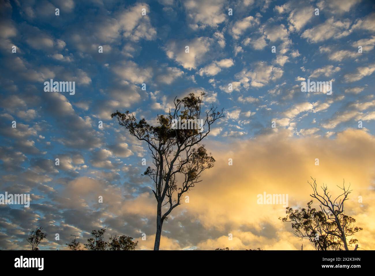 Australia outback night sky hi-res stock photography and images - Alamy