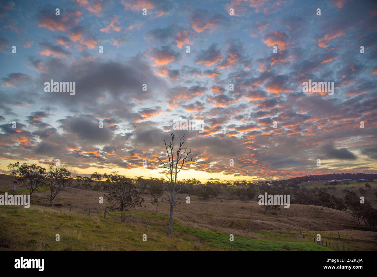 Stunning outback Australian sunset scene with bright pink, unique ...