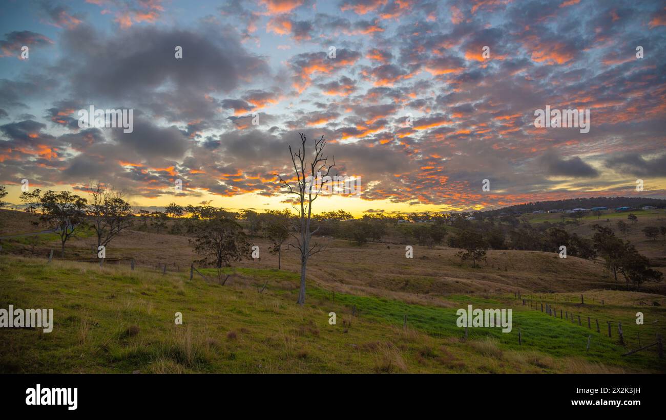 Stunning outback Australian sunset scene with bright pink, unique ...