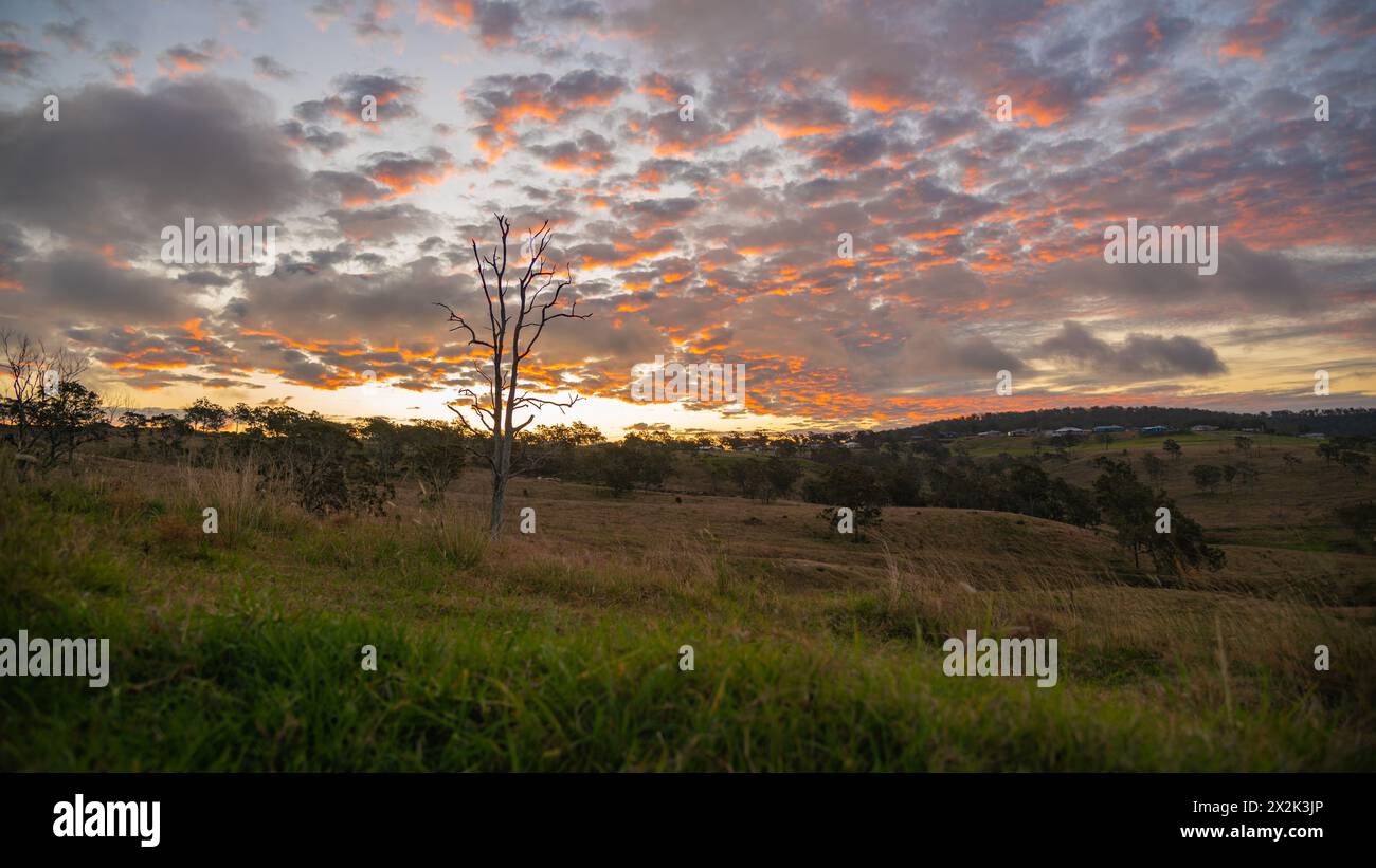 Stunning outback Australian sunset scene with bright pink, unique ...