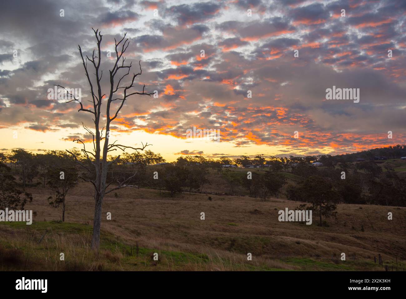 Stunning outback Australian sunset scene with bright pink, unique ...