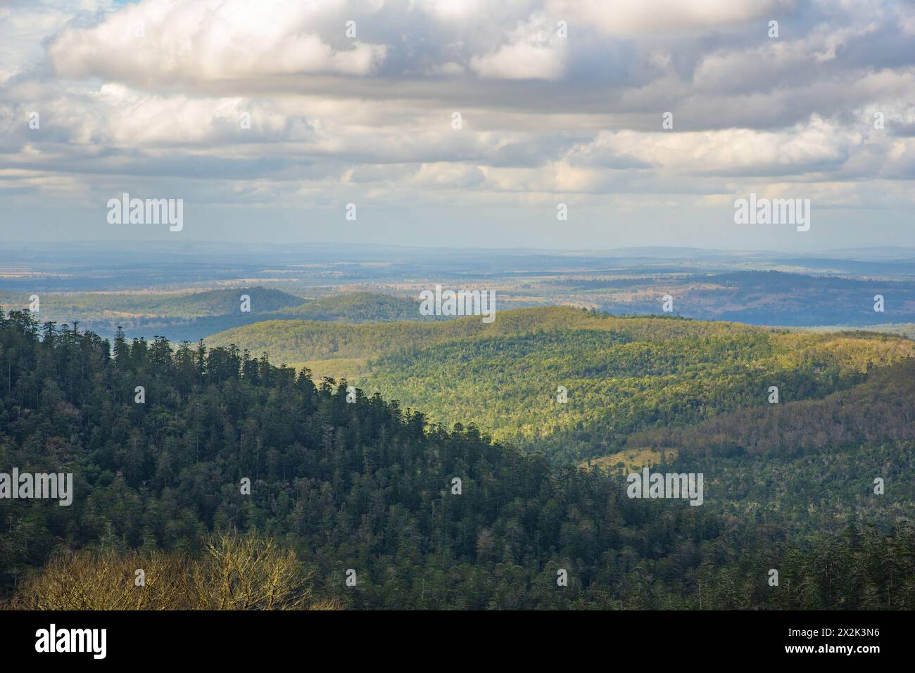Rural, wilderness forestry area of Queensland, Australia. Seen from ...