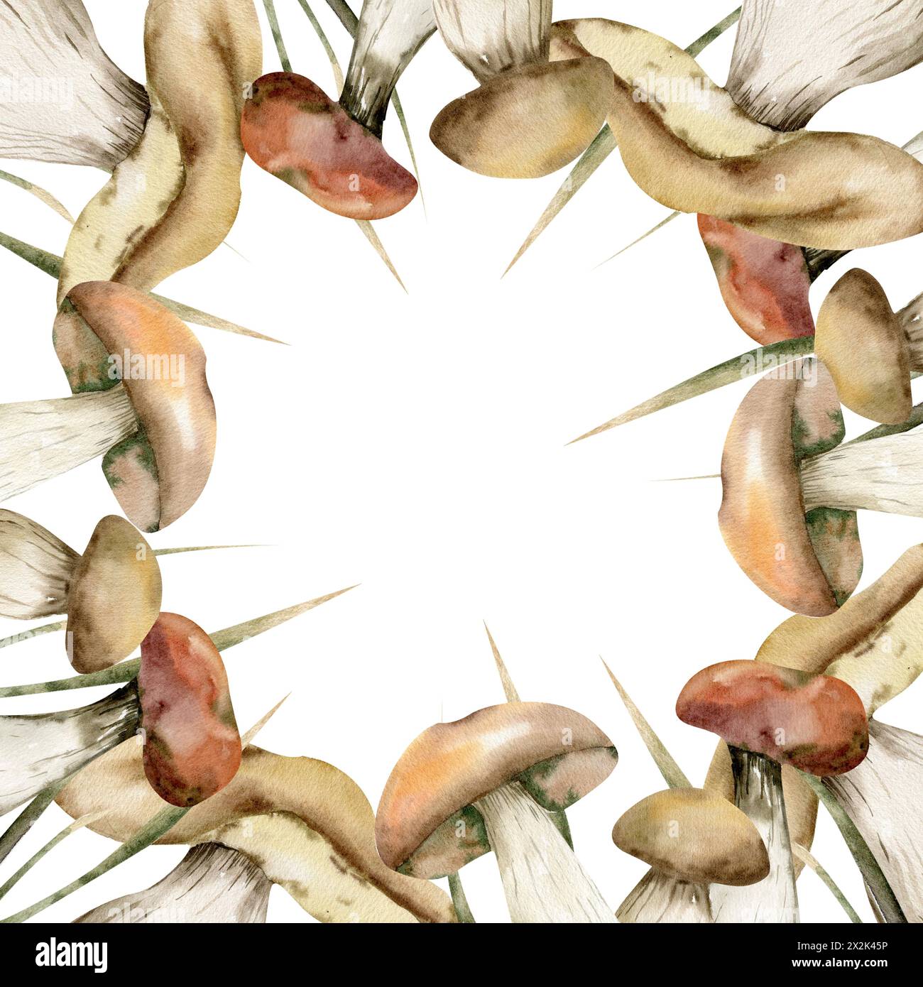 Autumn floral mushroom frame. Square border, watercolor hand drawn ...