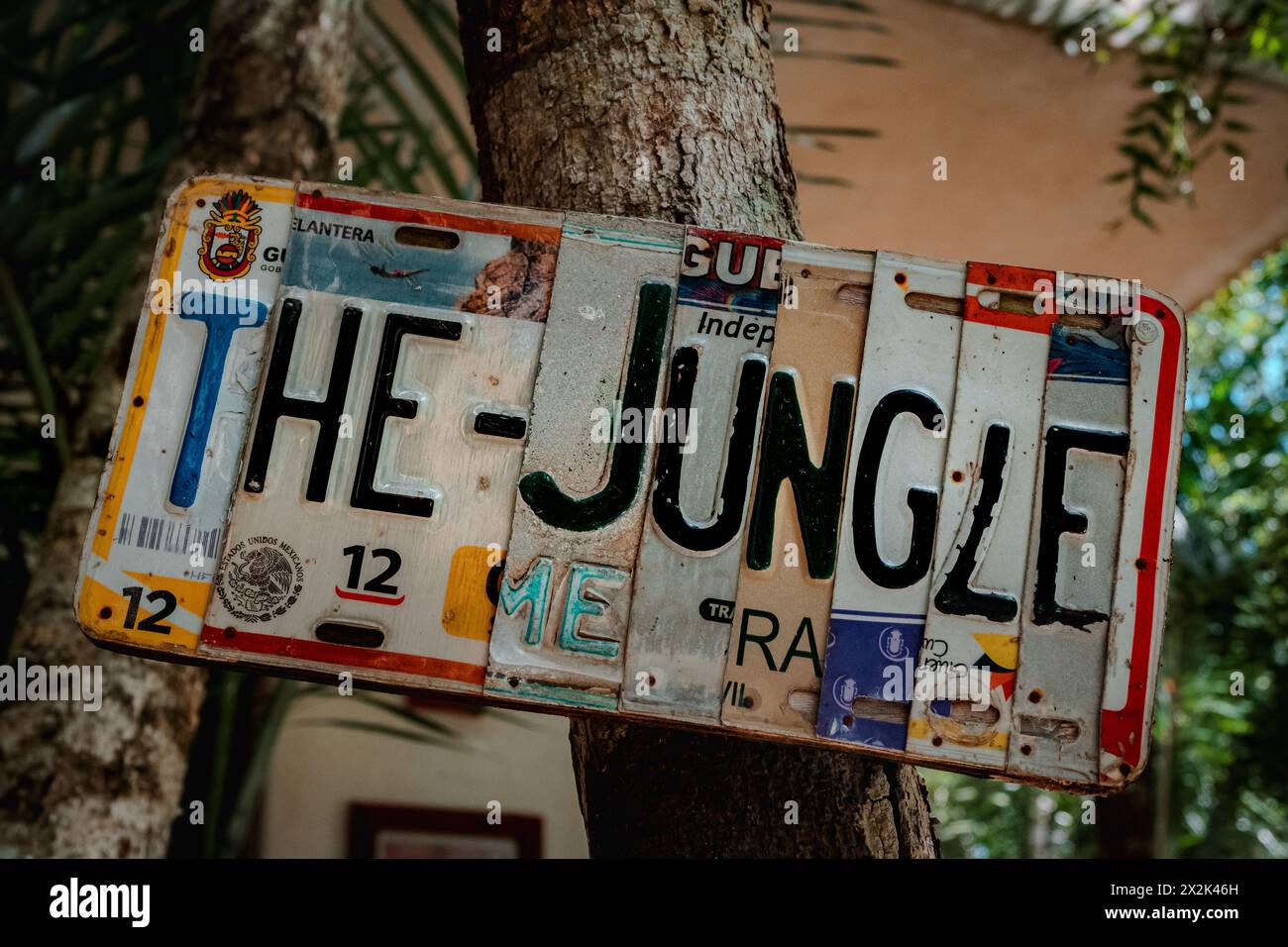 This image shows an artistic creation titled 'The Jungle', assembled ...