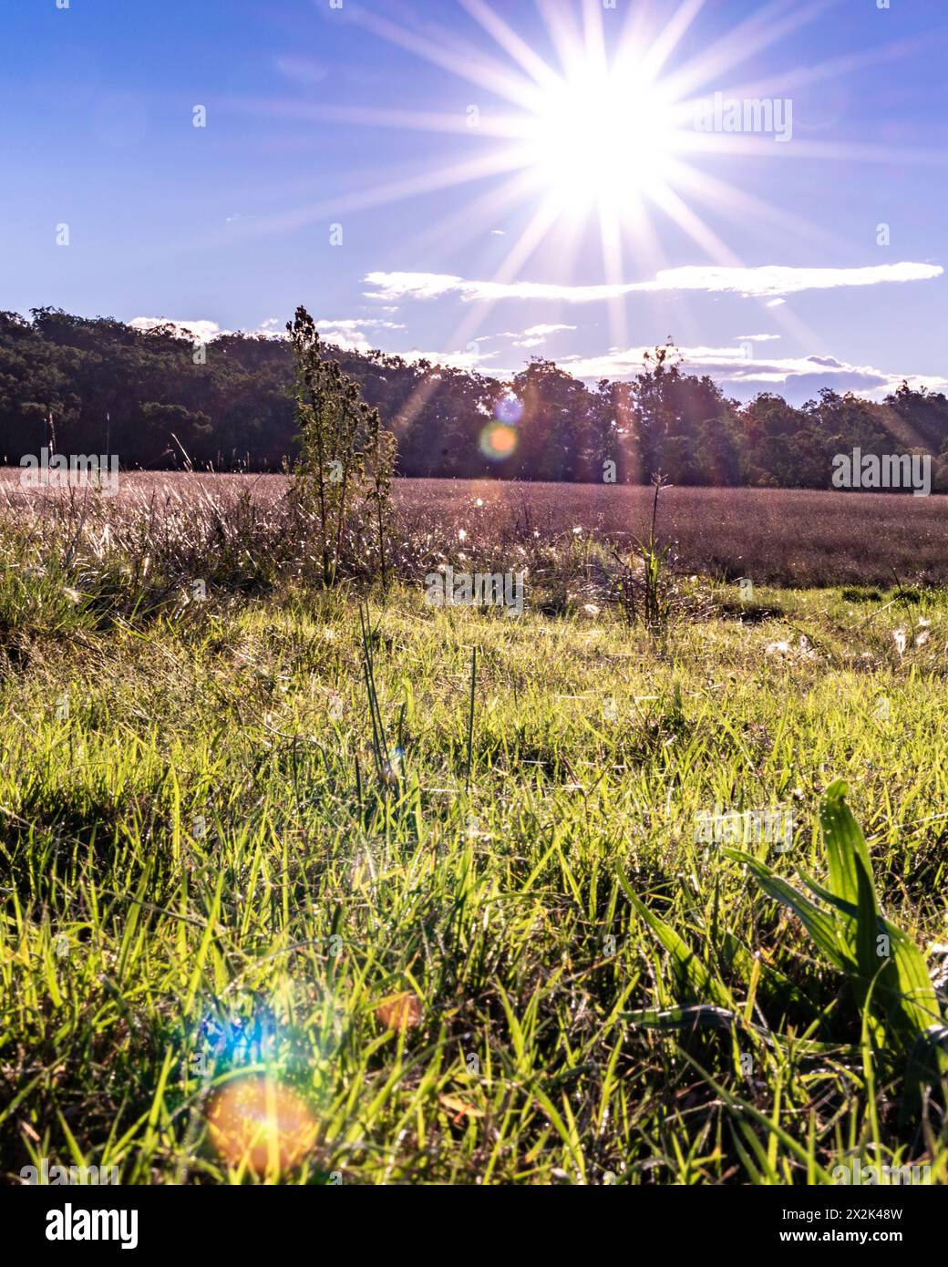 Rural scenery area in Queensland, Australia with bright, shining sun in ...